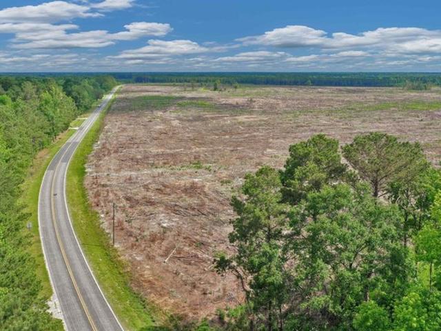 June Burn Rd Lot 2, Manning, SC 29102