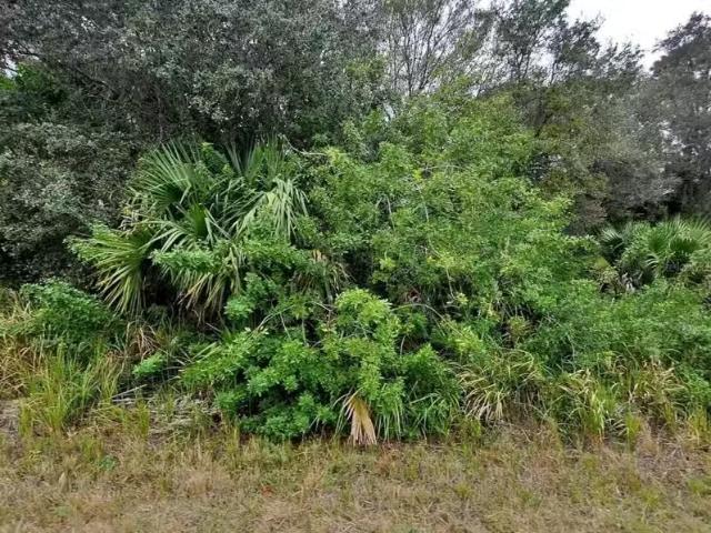 Brewster Lot #8 Rd, North Port, FL 34288 MLS C7508533