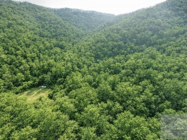 Brewsterdale Rd, Squire, WV 24884