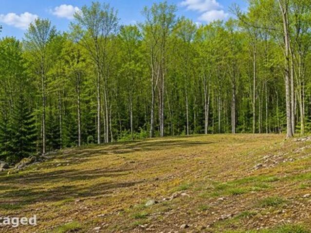 Break Maiden Ln, Harwinton, Plot For Sale