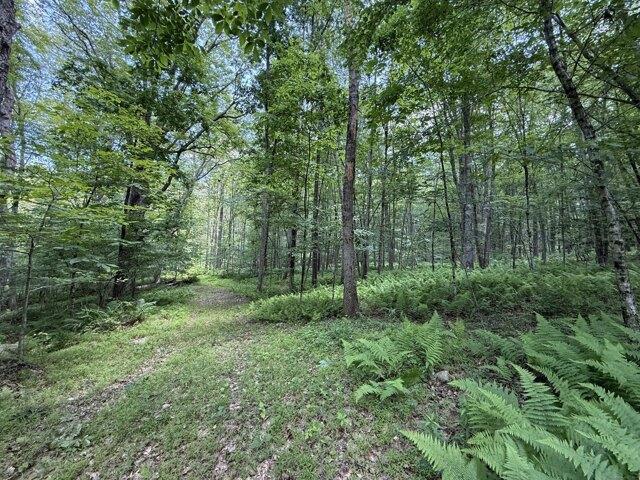 Breakneck Hill Rd, Killingly, Plot For Sale