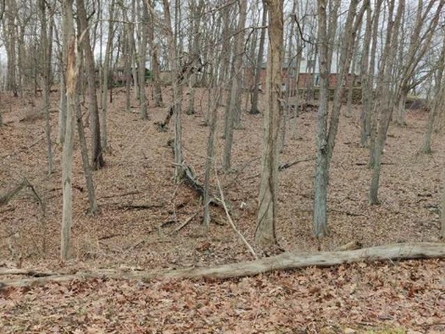 Breer Ct Lot 149, Bloomfield Township, MI 48302