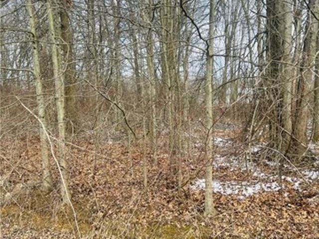 Breezewood Ln Lot 113, Orwell, OH 44076