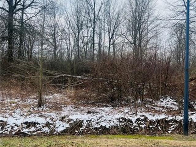 Breezewood Ln Lot 134, Orwell, OH 44076