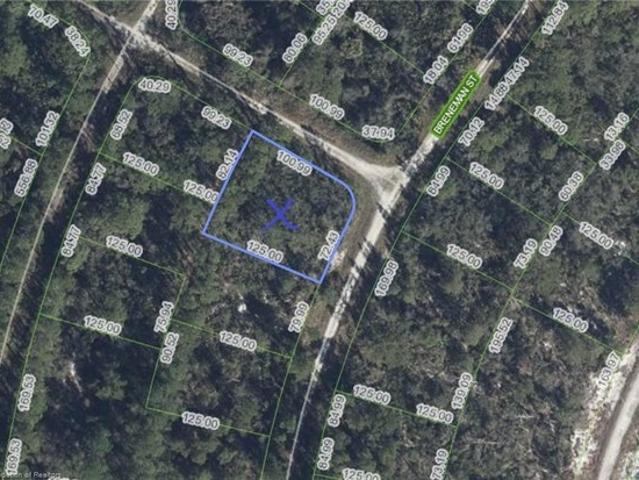 Breneman St, Lake Placid, FL 33852