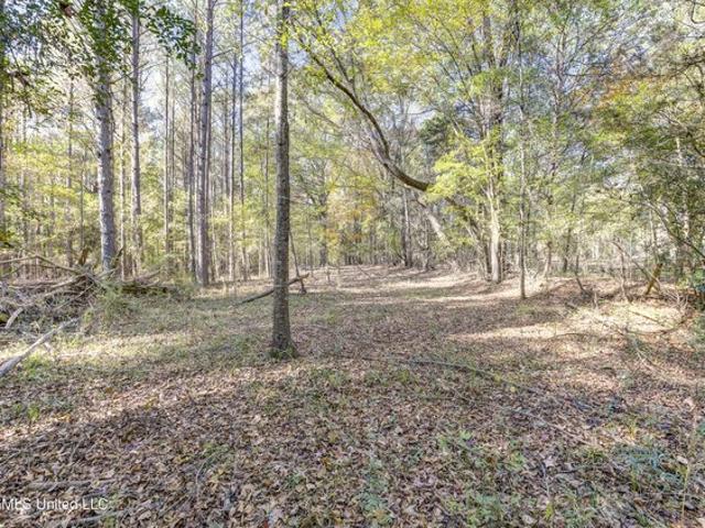 Brenmar St, Brandon, MS 39042