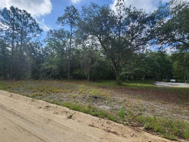 Britt St, Interlachen, FL 32148