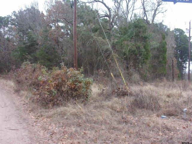 Briar Vly, Murchison, TX 75778