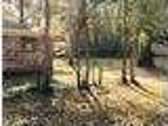 Brick home, 3/1. 5, Large Yard