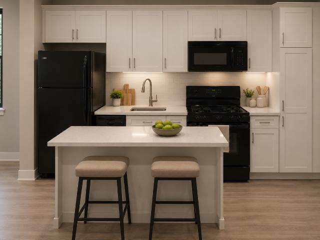 Brick Row 1 Bedroom Apartment for Rent at 613 E Michigan Ave, Lansing, MI 48912 The Stadium District