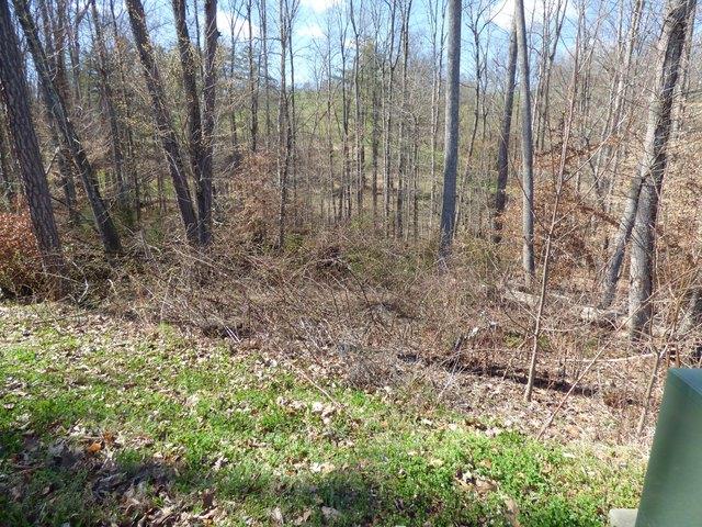 Bridgewater Blvd Lot 23, Morristown, TN 37814