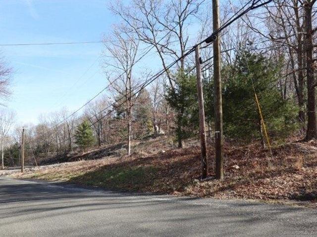 Bridgewater CT 06752 LS102729060
