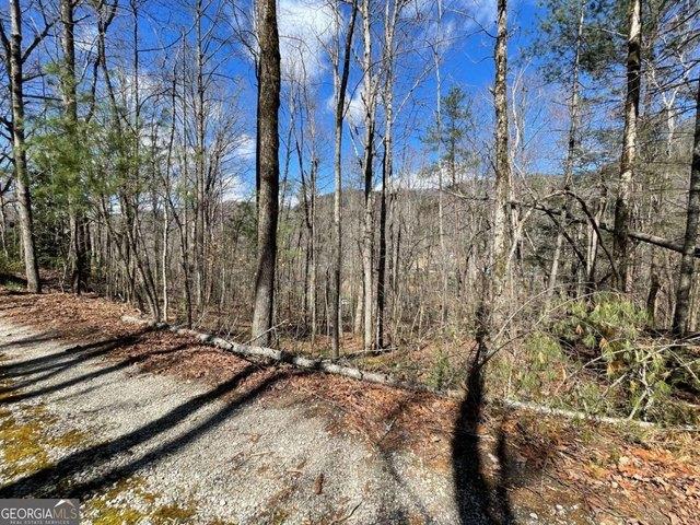Bridge Creek Rd, Tiger, GA 30576
