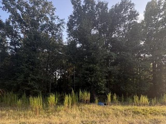 Bridgemill Rd, East Dublin, GA 31027