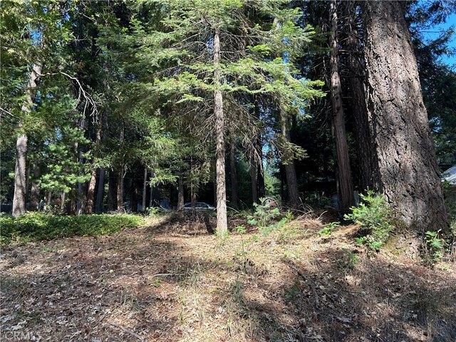 Bridgeport, Magalia, CA 95954