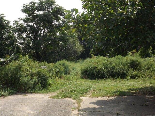 Bridgeport CT 06602 104153114