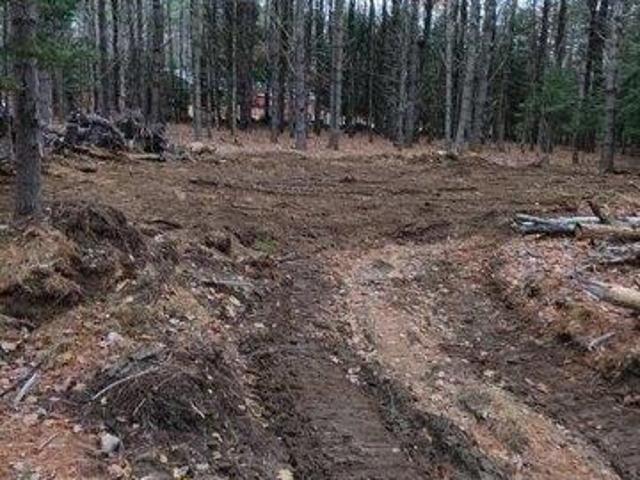 Bridgton ME 04009 104332291