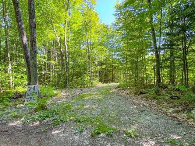 Bridgton ME 04009 105142397