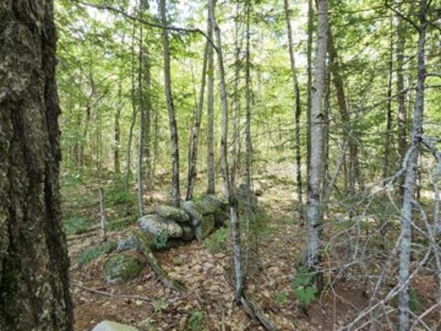 Bridgton Rd, Sebago, Plot For Sale