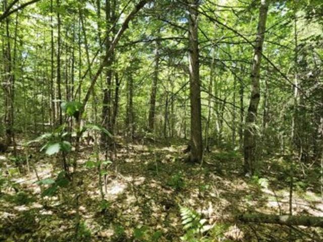 Bridgton Rd, Sebago, Plot For Sale