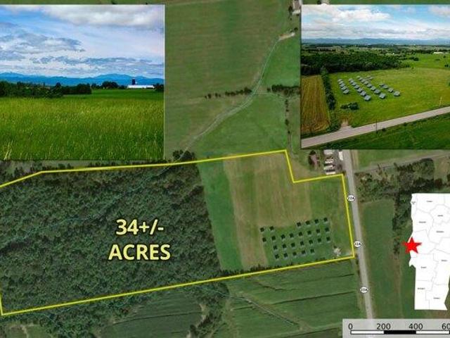 Bridport VT 05734 LS103128334
