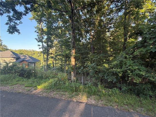 Brigadoon Dr Lot 12, Bella Vista, AR 72715
