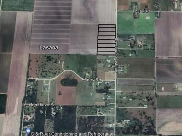 Briggs Coleman Rd Lot 8, Harlingen, TX 78550