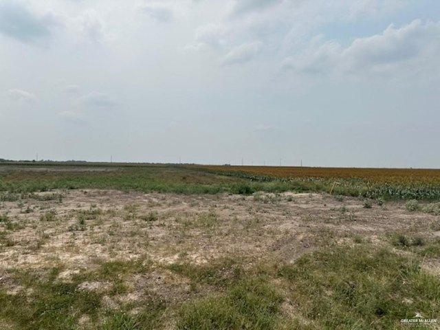 Briggs Cloeman Rd Lot 4, Harlingen, TX 78550