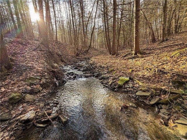 Briggs Hill Rd, Van Etten, NY 14889