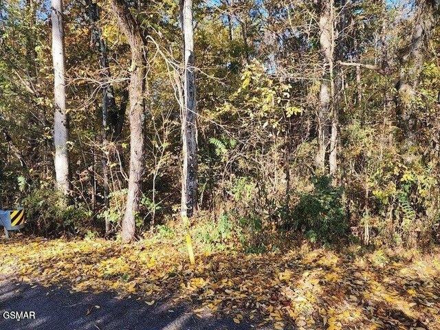 Briggs Rd, Dandridge, TN 37725