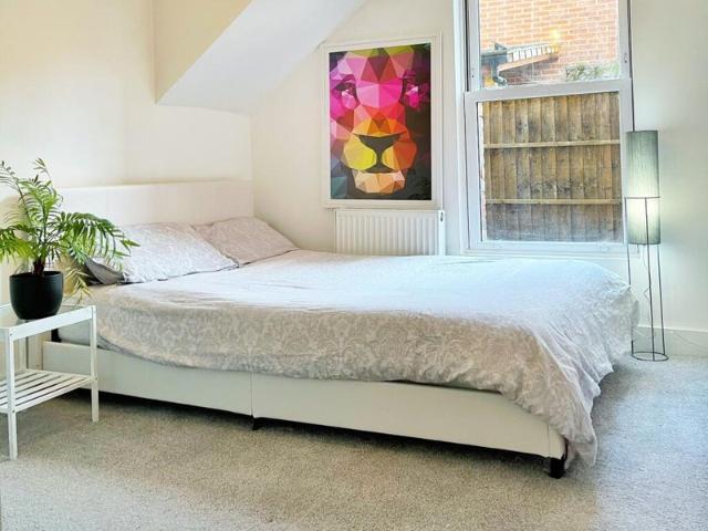 Bright 2 Bedroom Garden Flat in Streatham Hill SW2