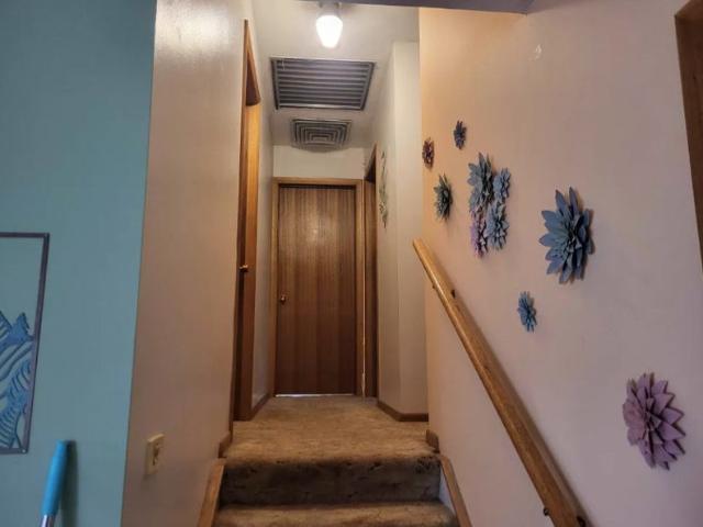 Bright, Cozy Room/Rooms for Rent in Lakewood, CO