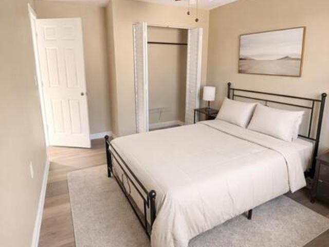 Bright & Comfortable Shared Home Steps from Downtown Tampa Easy Commute & Great Vibes