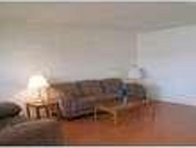 Bright Charleston, Studio, 1 bath for rent. Pet OK!