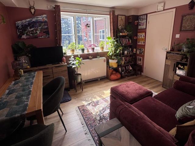 Bright, cute studio flat available in Walthamstow