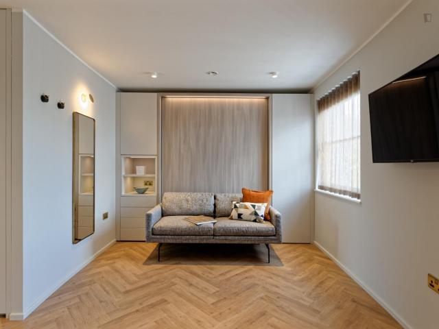 Bright and elegant studio apartment in South Kensington Has an Apartment