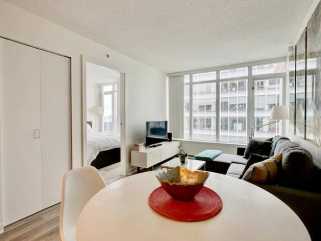 Bright and Spacious 1Bed 1Bath in Downtown