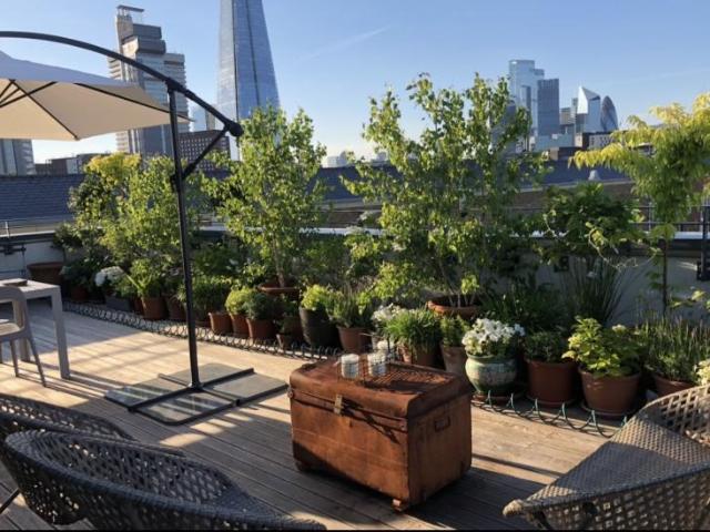 Bright double room in zone 1, ten minutes from London Bridge station. Fabulous roof garden