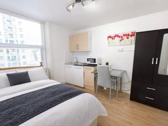 Bright Double Studio in SW7 for Summer Internship