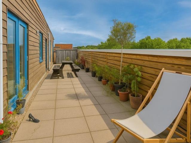 Bright flat with terrace in camden NW1
