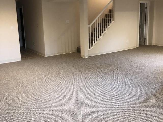 Bright Furnished Basement