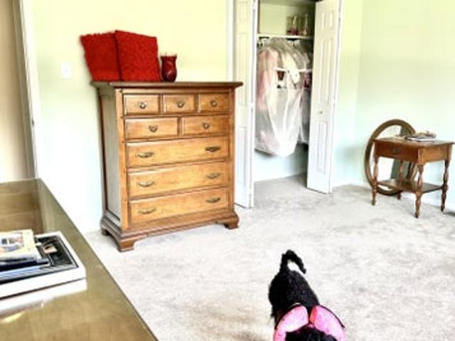 Bright Furnished Bedroom with Natural Light | Col
