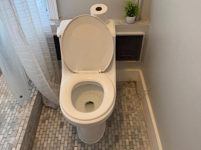 Bright, Spacious Furnished Room in McGinley Square