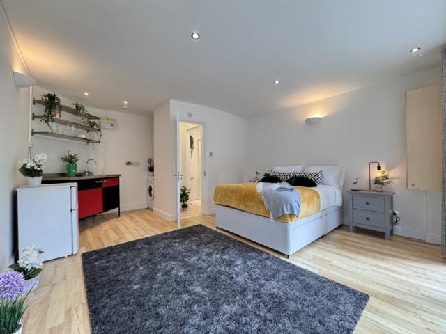 Bright STUDIO Wembley Park HA9 8DT
