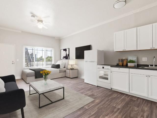 Bright & Sunny Studio w/ All New Renovation! Studio Apartment for Rent at 332 Mar Vista Dr, Vista, CA 92083 Vista