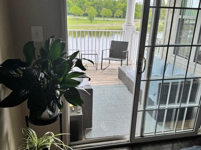 Bright, Peaceful Room for Rent in Chantilly