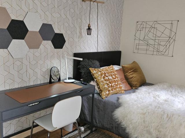 Bright & quiet furnished with pro roommate