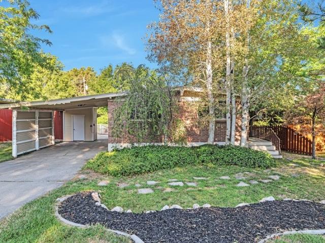 Bright Walk_Out Apartment | With Fenced Yard