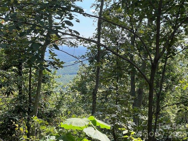 Brighton Dr Unit 233, Bostic, NC 28018