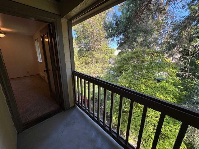 Brighton North Apartments 1 Bedroom Apartment for Rent at 1549 Ne 177th St, Shoreline, WA 98155